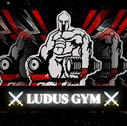 LUDUS GYM Creando gladiadores - Cerrillos III