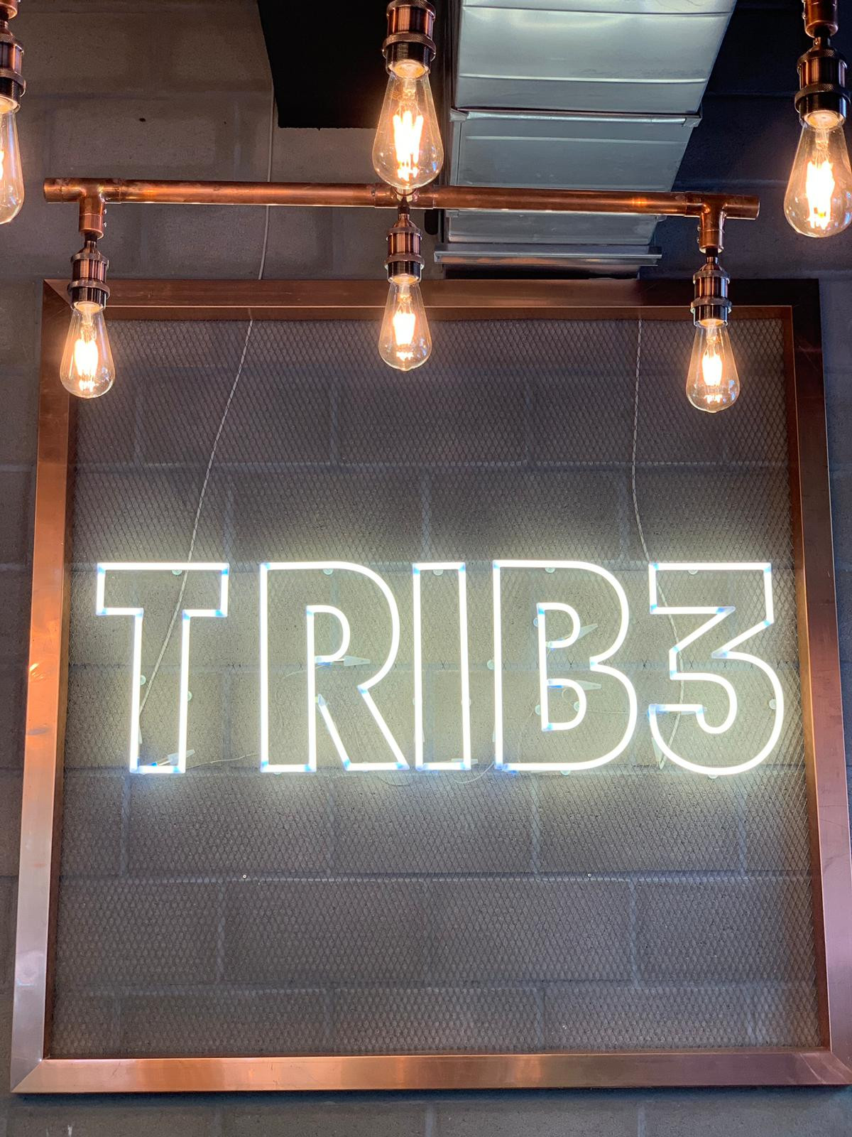 TRIB3 Basílica ¡Vive la experiencia!